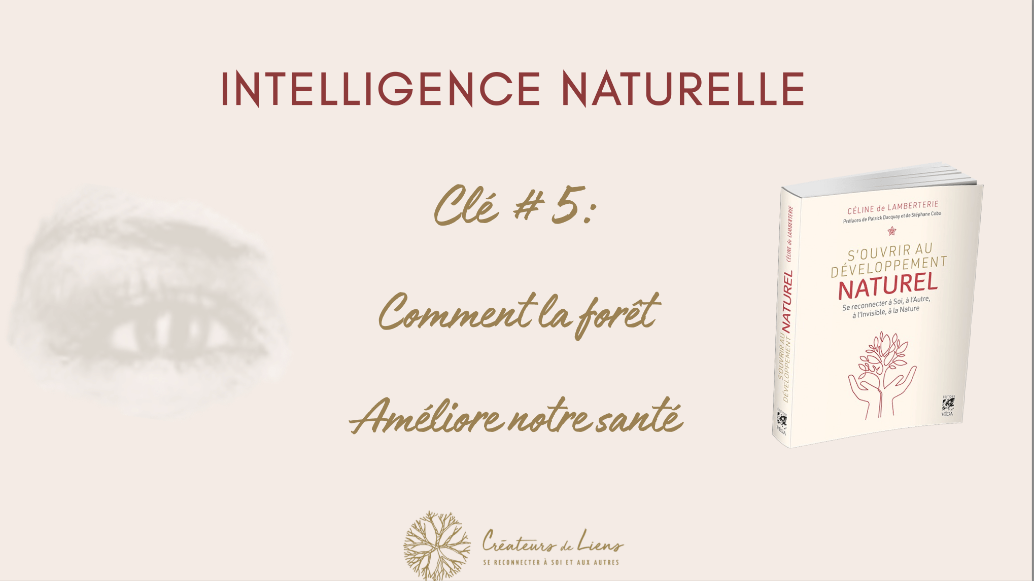 Comment la forêt améliore notre santé
